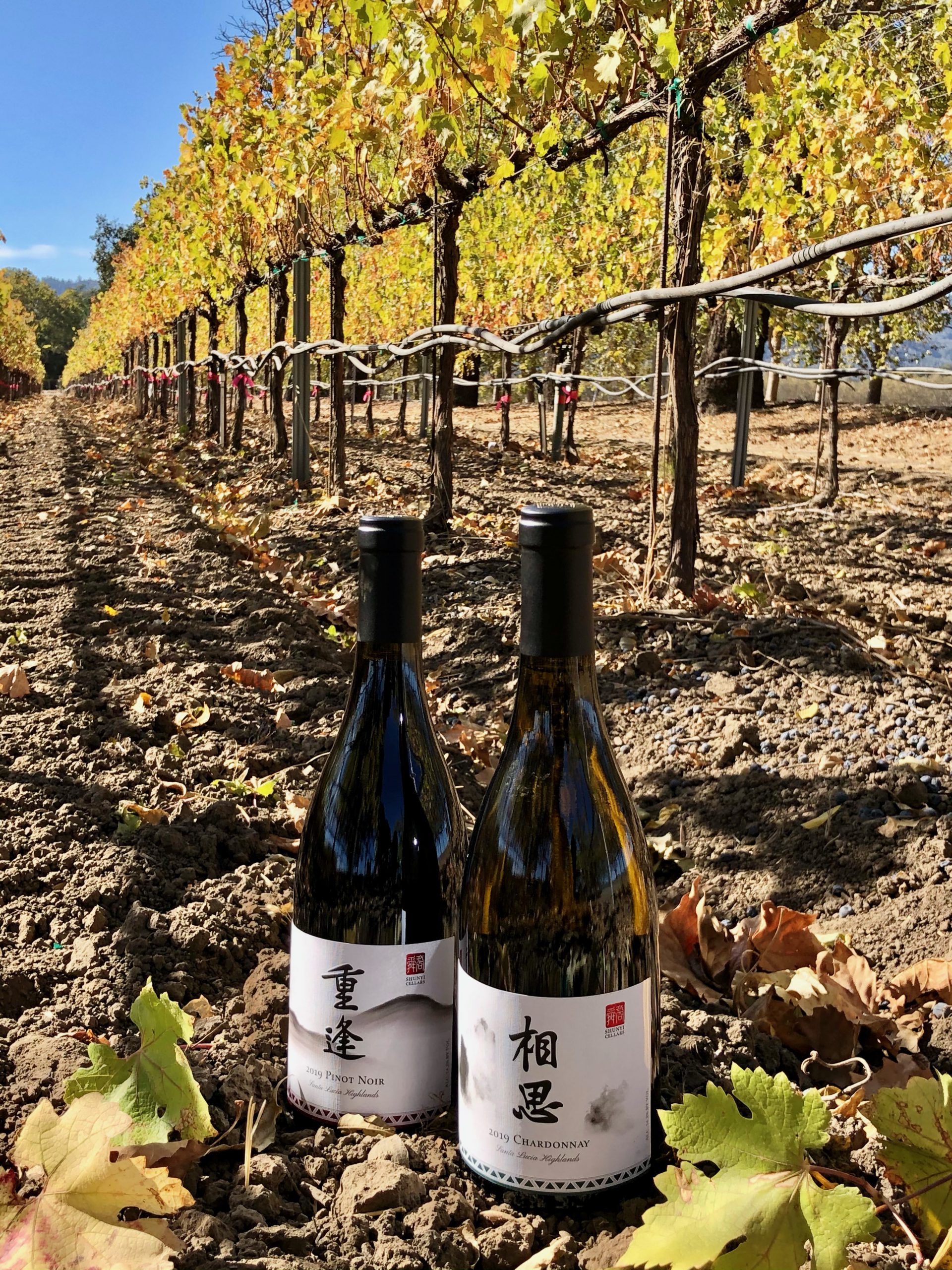 Wine that Connects Cultures, from Asia to America and Beyond - Dr. Liz ...
