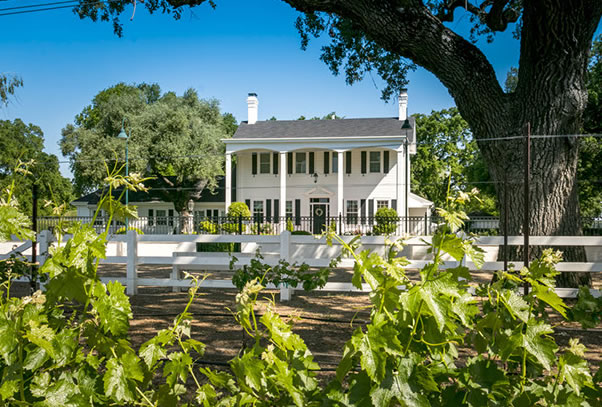 Oak Farm Vineyards - One of the Most Elegant Wineries in Lodi - Dr. Liz ...