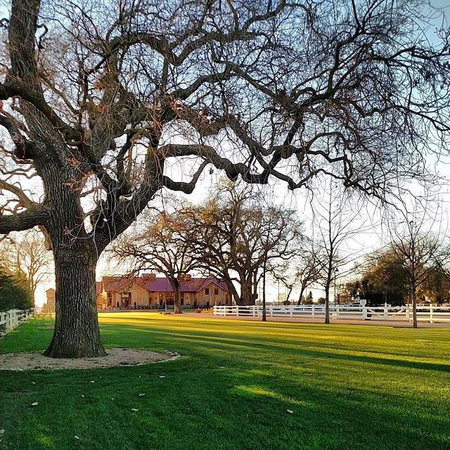 Oak Farm Vineyards - One of the Most Elegant Wineries in Lodi - Dr. Liz ...